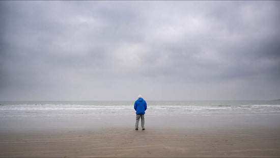 Ocean with David Attenborough – Behind the Scenes | Arksen